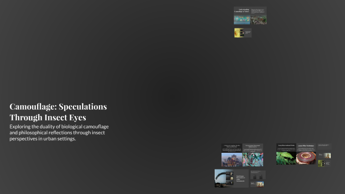 Camouflage: Speculations Through Insect Eyes by Mustafa Uzuner on Prezi