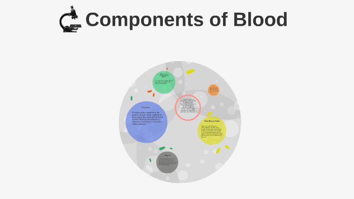 Components of Blood by Stephanie McCrary on Prezi