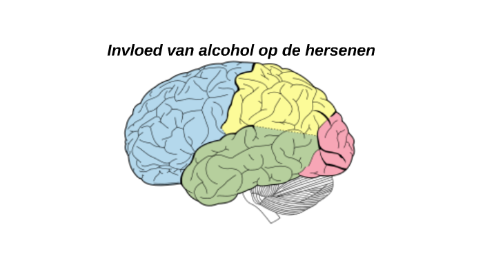 GIP invloed van alcohol op de hersenen by Yentl Hugelier on Prezi