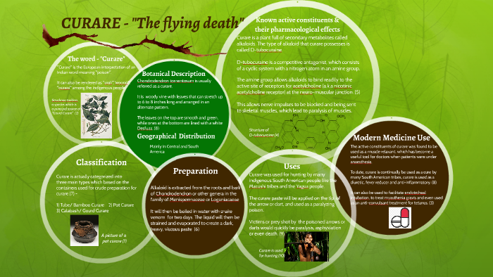 CURARE - "The flying death" by Jevons Wong