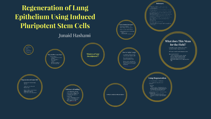 Regeneration of Lung Epithelium Using IPSC by Junaid Hashami on Prezi