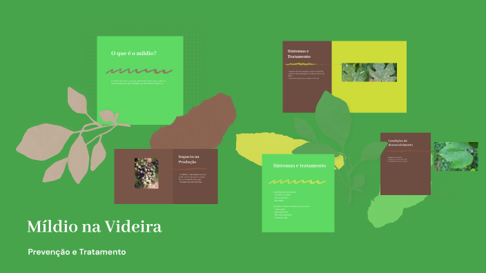 Míldio na Videira by Alexandre Ribas on Prezi