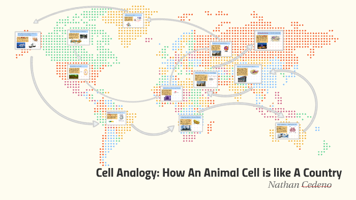 Cell Analogy: How An Animal Cell is like A Country by Nathan Cedeno on ...