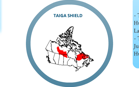 Taiga shield by sophia murney on Prezi
