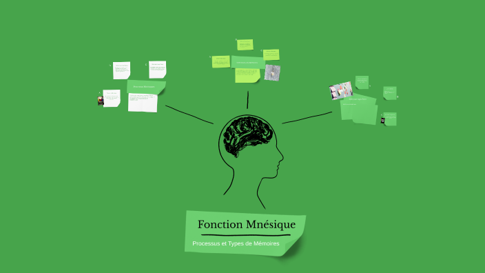 Fonction Mnésique by Jade Rosselin on Prezi