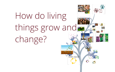 How do living things grow and change? by Lixy Ramírez on Prezi