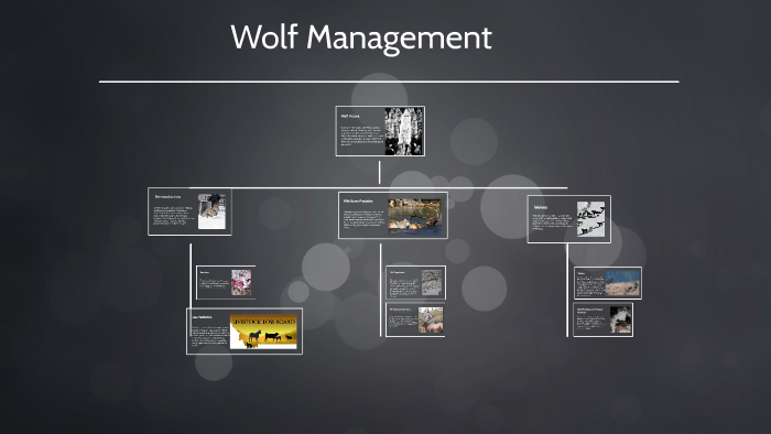 Wolf Management by Justin DesRosier