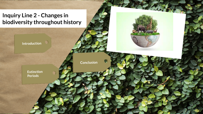 IL 2 by Elena Micu on Prezi
