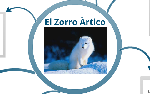 zorro Artico by valeria arevalo on Prezi