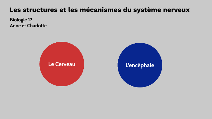 Les structures et les mécanismes du système nerveux - Biologie 12 ...