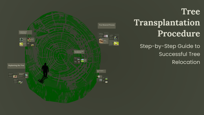 Tree Transplantation Procedure by Greenery Spreader on Prezi