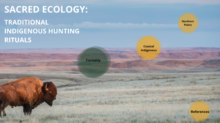 Sacred Ecology: Traditional Indigenous Hunting Rituals by Nicki ...