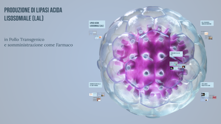 Produzione di Lipasi Acida Lisosomiale (LAL) by Infunti Arianna Rugiada ...