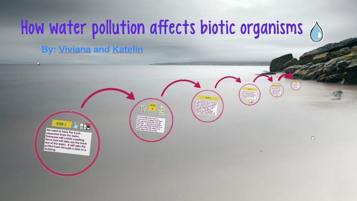 How water pollution affects biotic organisms by Katelin Jaque