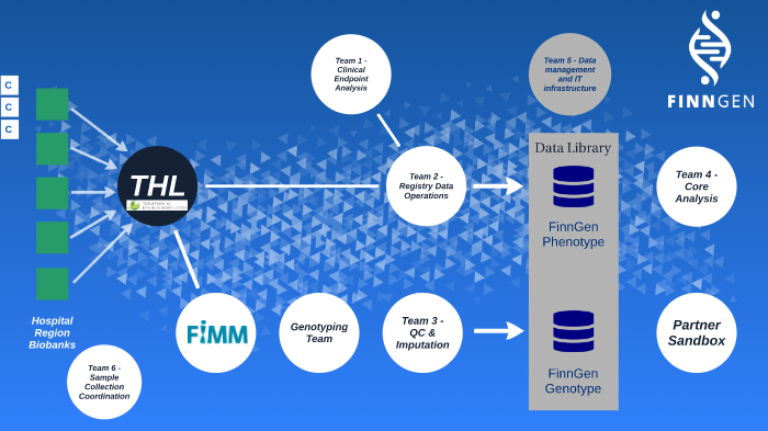 FinnGen F2F by Mark Daly on Prezi