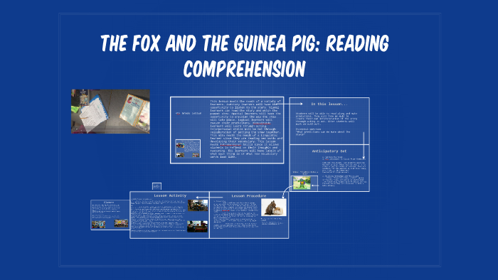 The Fox and the Guinea Pig: Reading Comprehension by MAGDALENA czarnik ...