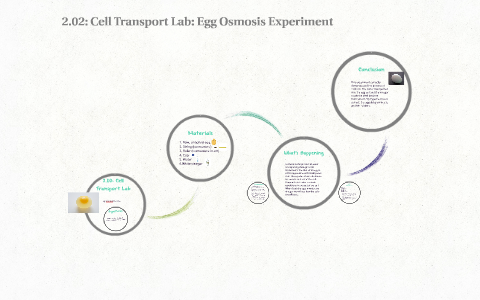 Cell Transport Lab by Arianna Moreno on Prezi