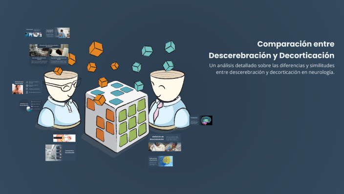 Comparación entre Descerebración y Decorticación by Karla Molano on Prezi