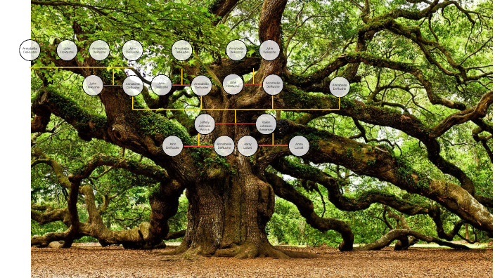 Family Tree by Chad Johnson on Prezi