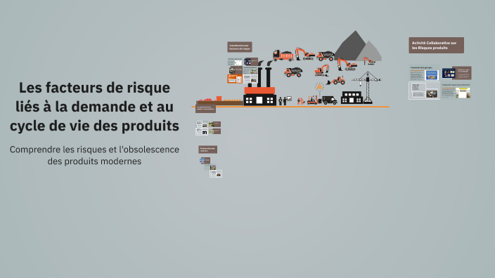 Les facteurs de risque liés à la demande et au cycle de vie des ...