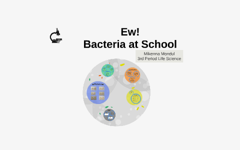 Ew! Bacteria at school by Mikenna Mondul on Prezi