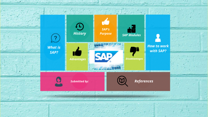 SAP Presentation by Dana Jao on Prezi