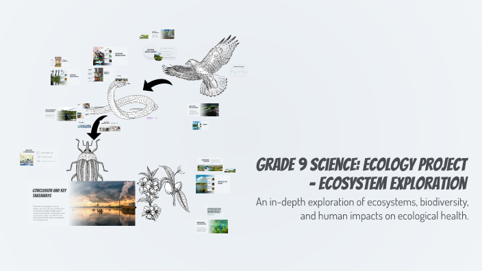 Grade 9 Science: Ecology Project - Ecosystem Exploration by Alijah Fray ...