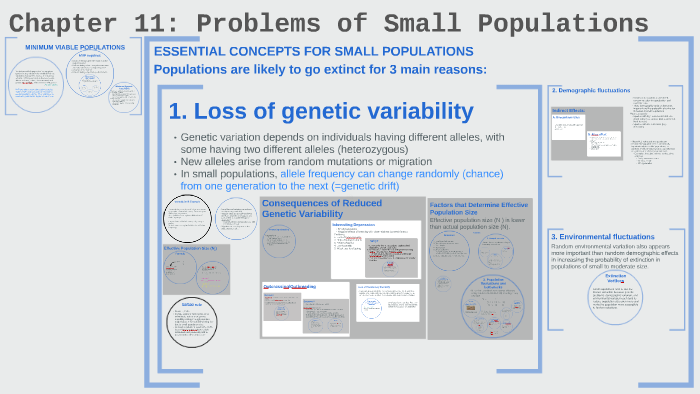 Chapter 11: Problems of Small Populations by Hannah Park on Prezi
