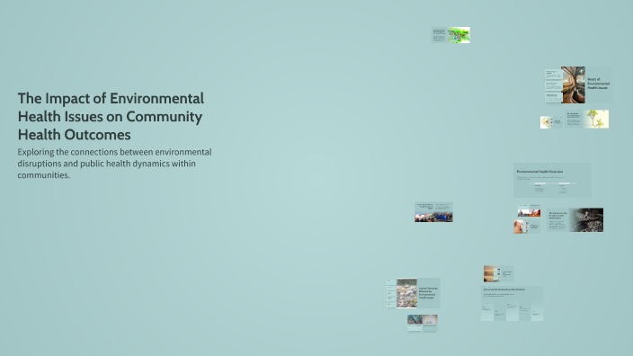 The Impact of Environmental Health Issues on Community Health Outcomes ...