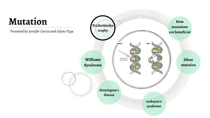 Mutation Project by Jennifer Garcia on Prezi