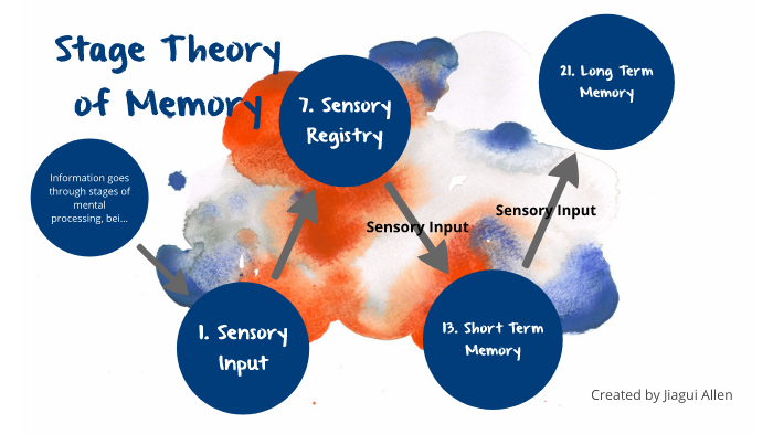 Stage Theory of Memory by Jiagui Allen on Prezi