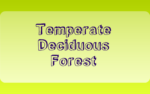 Period 5 Temperate Forest by Amanda Christian on Prezi