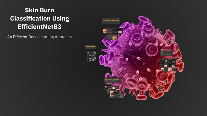 Skin Burn Classification Using EfficientNetB3 by Mina Tharwat on Prezi