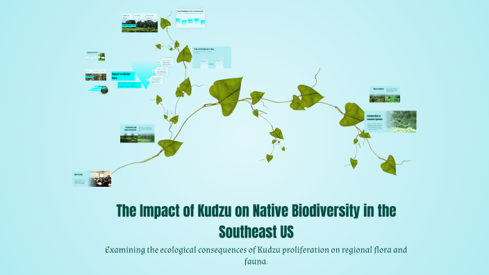 The Impact of Kudzu on Native Biodiversity in the Southeast US by Hamna ...