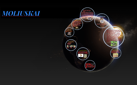 MOLIUSKAI by veronika agapovaite on Prezi