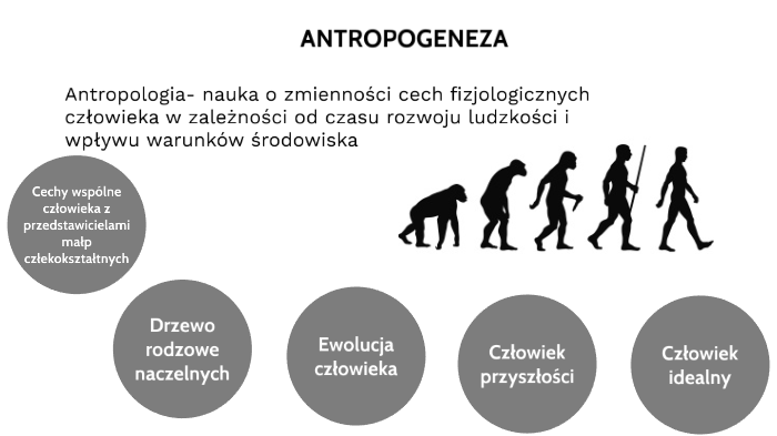 Antropogeneza by Aleksandra Łukasiak on Prezi