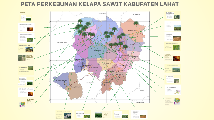 PETA PERKEBUNAN KELAPA SAWIT LAHAT by layanan mumed on Prezi