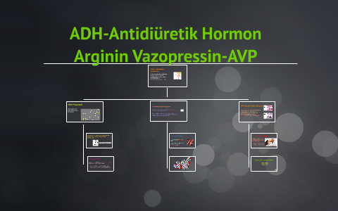 ADH-Antidiüretik Hormon by Seda Keskin on Prezi