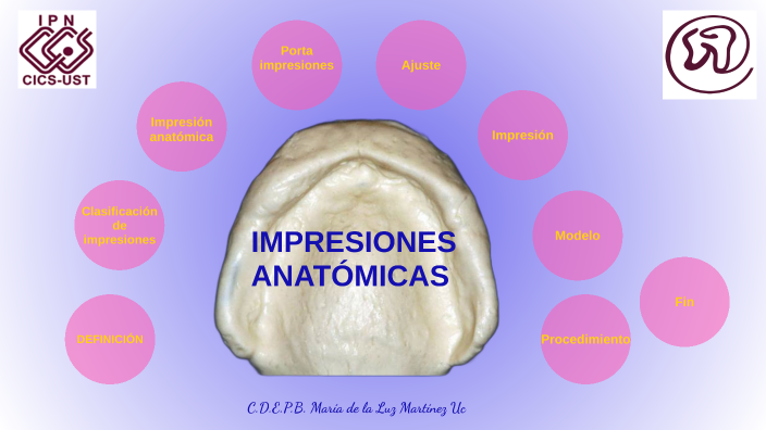 Impresiones anatómicas by Ma. Luz Martinez on Prezi