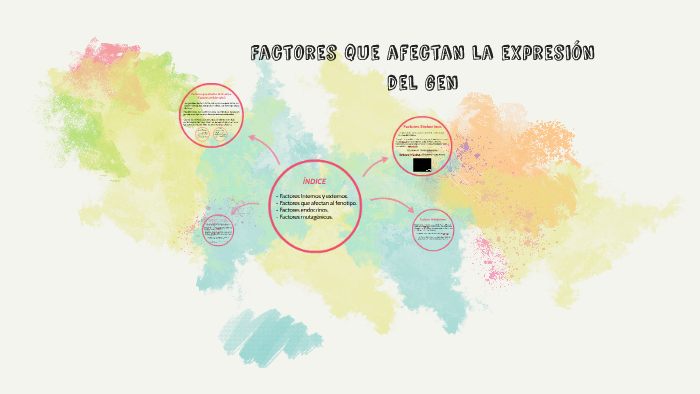 FACTORES QUE AFECTAN A LA EXPRESION DEL GEN by Raquel Diaz Carballa on ...