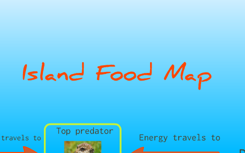 Island Food Web by Masha Chaadayeva on Prezi