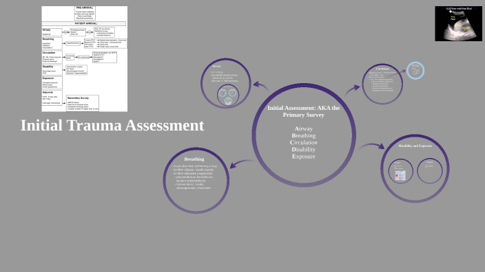 Initial Trauma Assessment/Fast Exam/Airway by Yerin Woo on Prezi