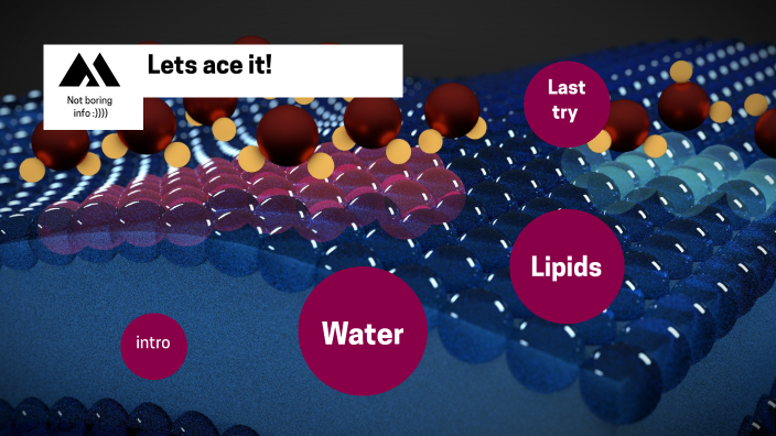 Lipids and water by Uktam Aripov on Prezi