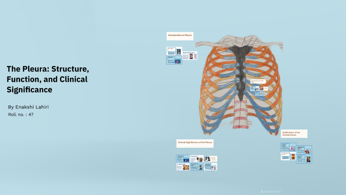The Pleura: Structure, Function, and Clinical Significance by Enakshi ...