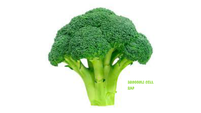 Broccoli Cell Rap by Charles Bridges on Prezi