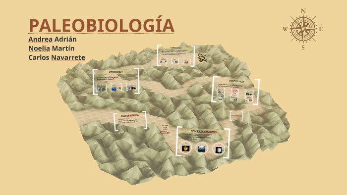 PALEOBIOLOGÍA by Noelia Martin