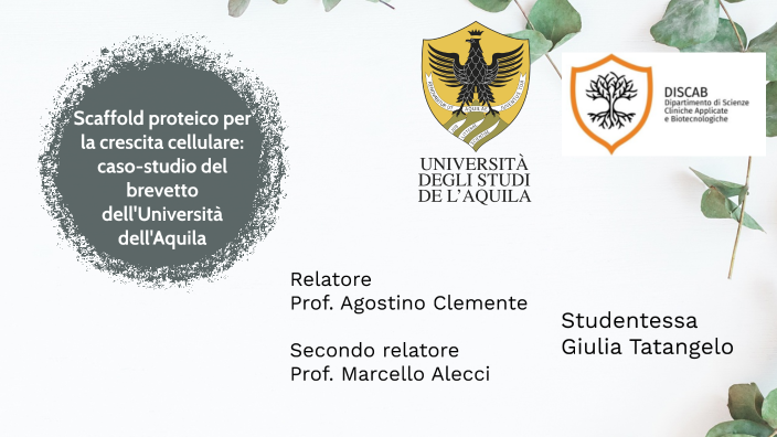 tatangelo-presentazione-17-07-2022-R1 by Giulia Tatangelo on Prezi
