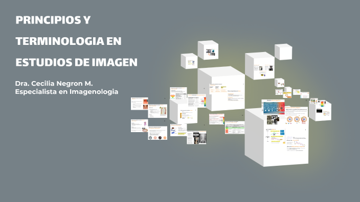 PRINCIPIOS Y TERMINOLOGIA EN ESTUDIOS DE IMAGEN by MIRIAM CECILIA ...