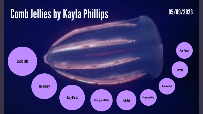 Comb Jelly by KAYLA PHILLIPS on Prezi