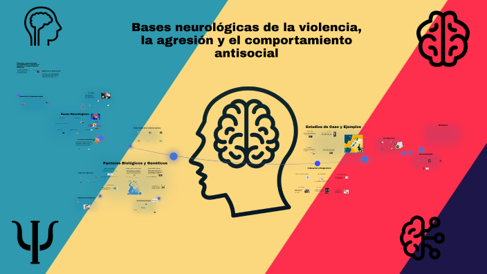 Bases Neurológicas de la Violencia by Rene Rivadeneira Cevallos on Prezi